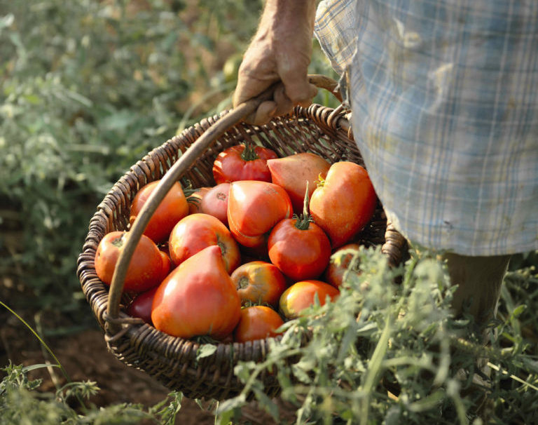 Où est le beau ? #172 - Où est le bon ? - Pascal Poot, produire des ...