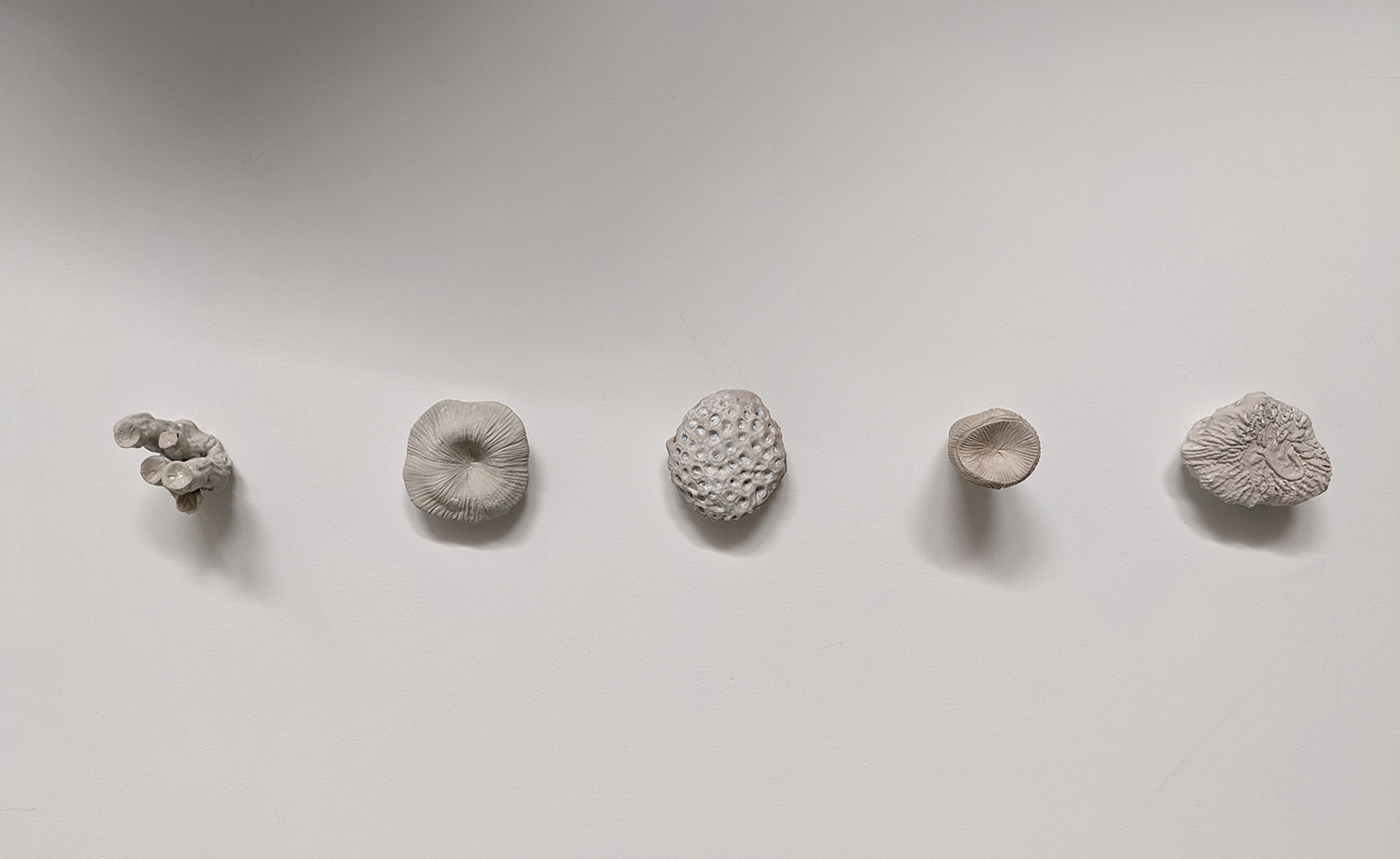 Où est le beau ? #185 - Jérémy Gobé - Créer les matériaux les plus ...