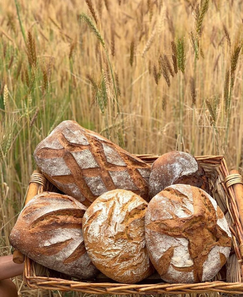 #190 - Les graines et leurs évolution, par Roland Feuillas et Pascal ...